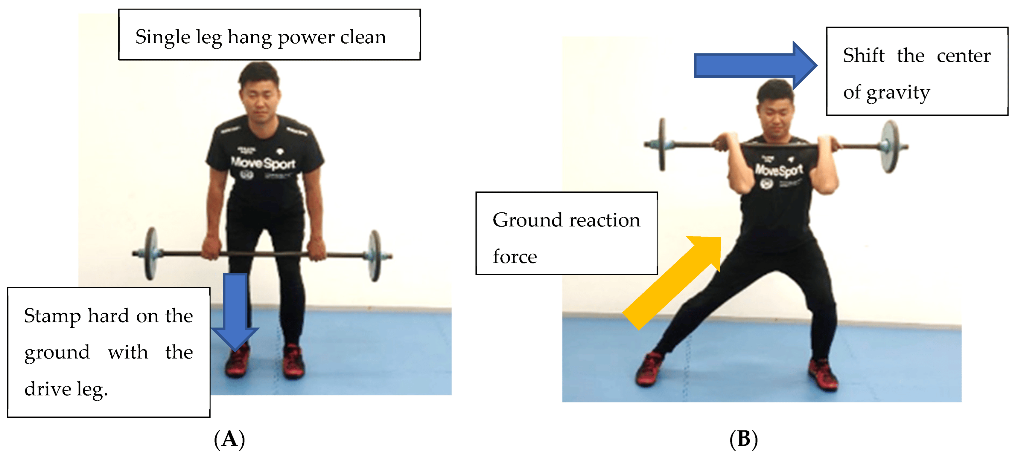 Strength Training Exercises for Baseball – Monster Baseball